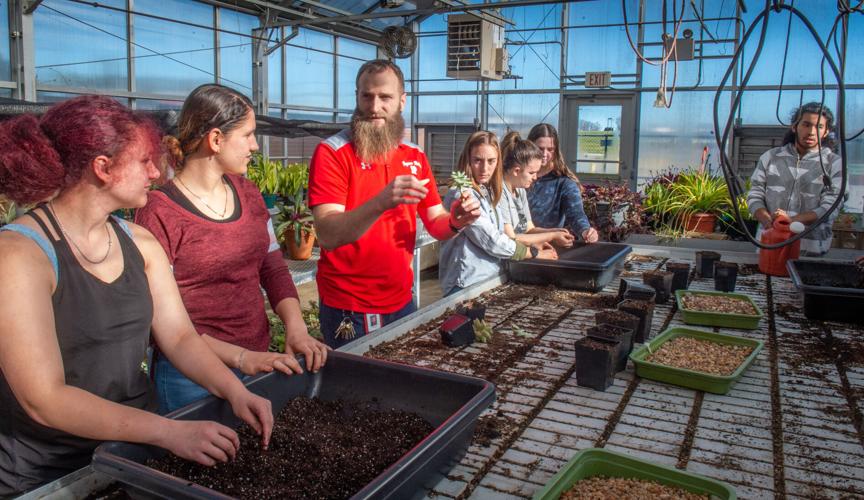Pequea Valley students propagate succulents, teach dog obedience as ...