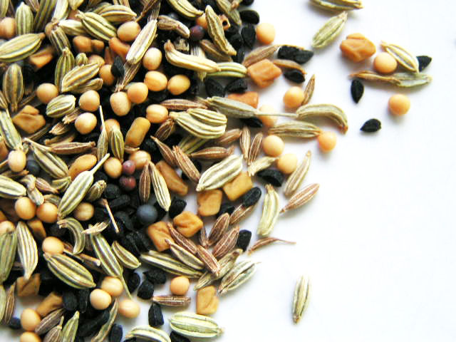 Save seeds to keep your family favorites growing | Fall Homes ...