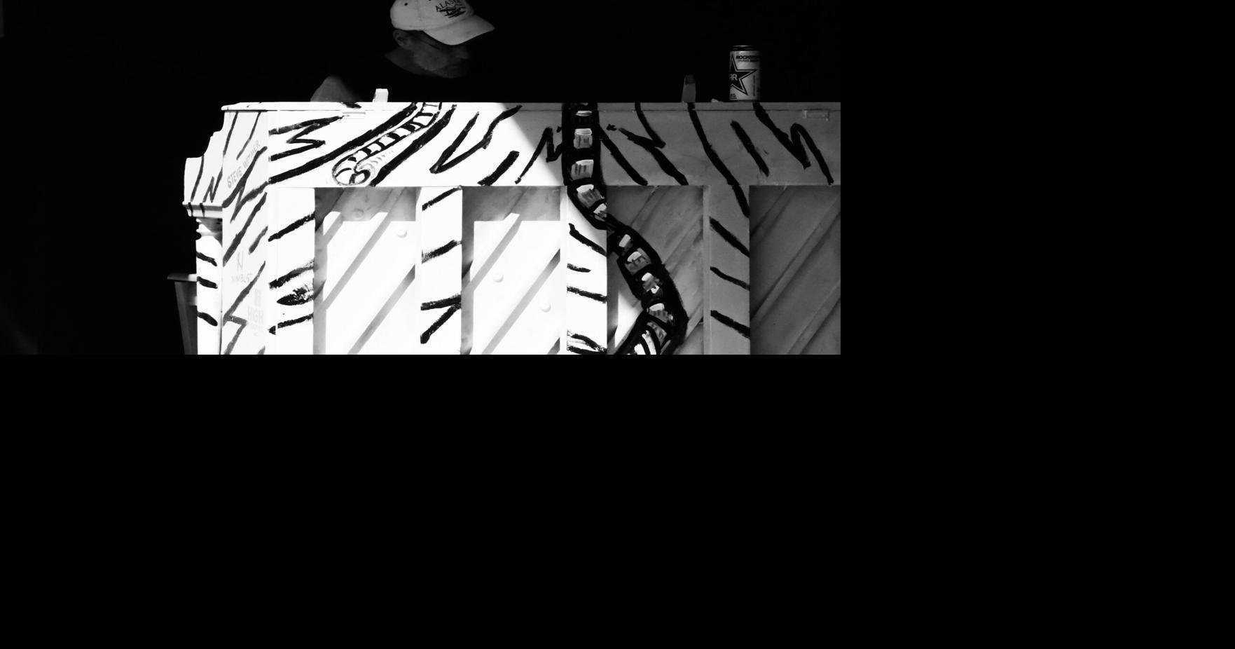 Through the Viewfinder: An eye for music | Through The Viewfinder | lancasteronline.com