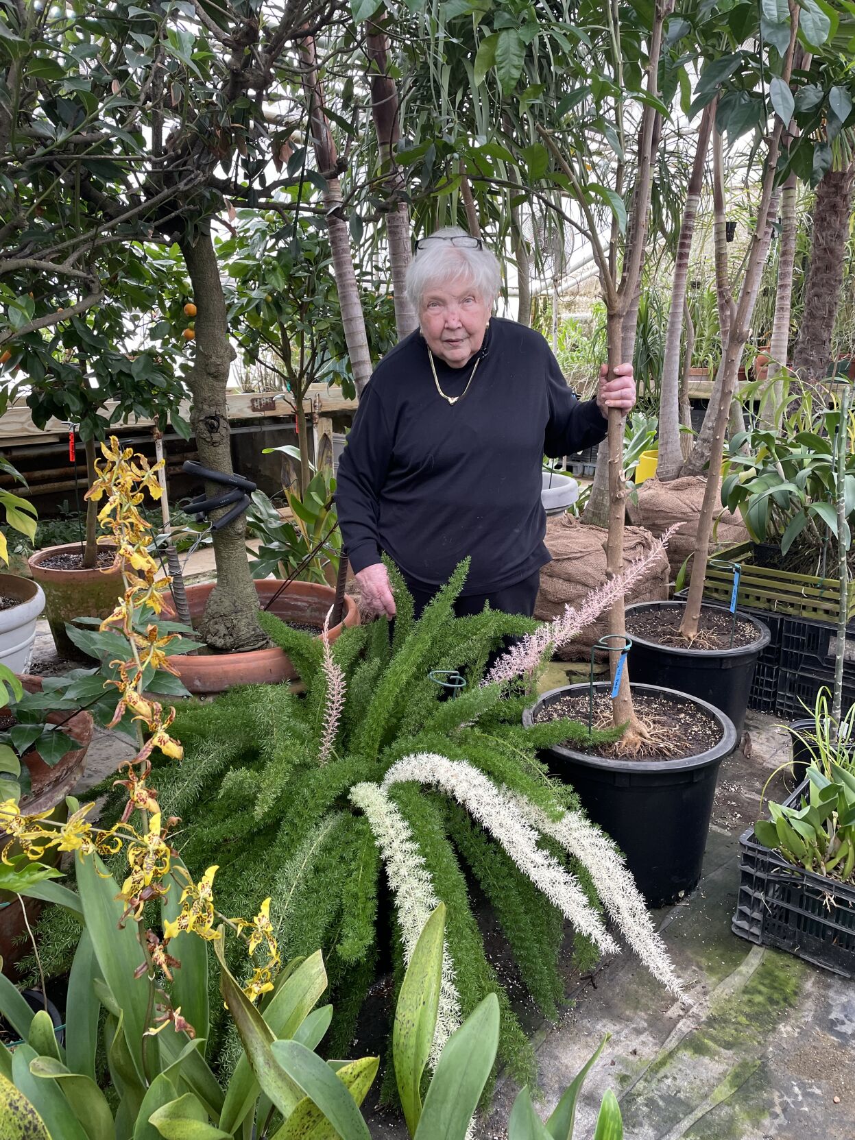 Meet the award-winning Lancaster County grower going to the ...