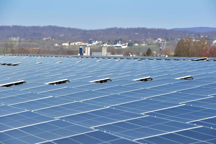 MVE Group installs solar panels at Four Seasons Produce [photos ...