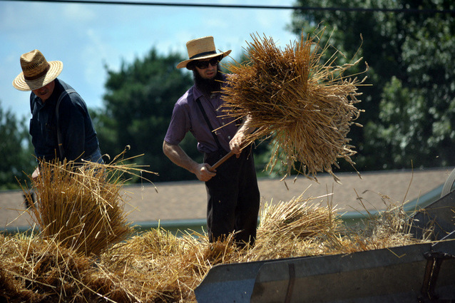 Threshing party turns back clock | Lifestyle | lancasteronline.com
