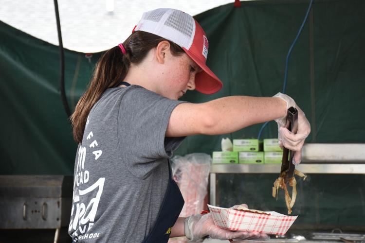 Families enjoy farm fun at West Lampeter Community Fair [photos ...