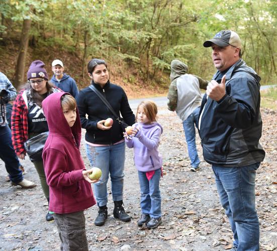 Festival celebrates mythical Pennsylvania creature: the albatwitch ...