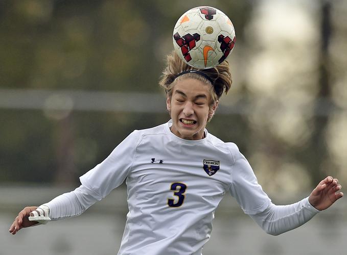 Drama for Warwick, early energy for McCaskey in L-L League boys soccer ...