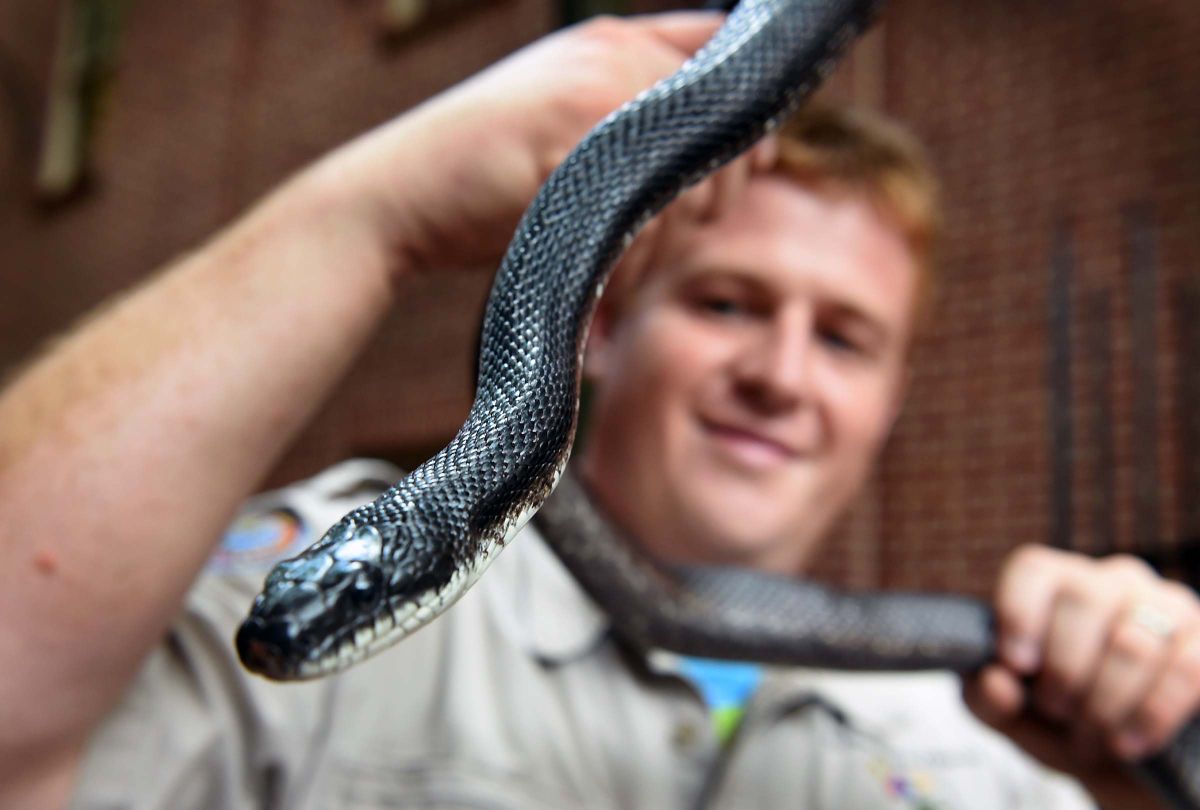 Do you kill snakes? Why? | Outdoors | lancasteronline.com