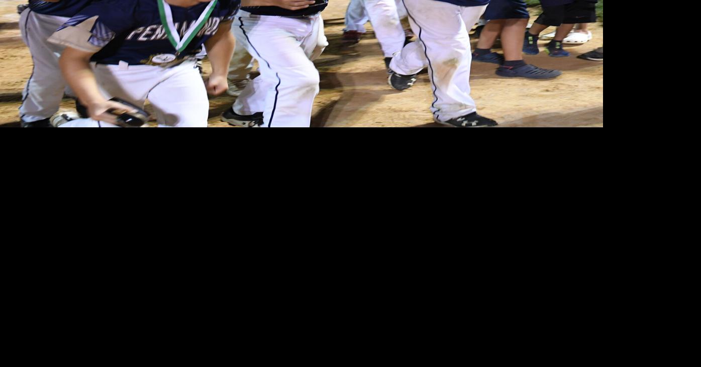 Mountville Cubs vs. Penn Manor Comets - LNP 10U baseball championship ...