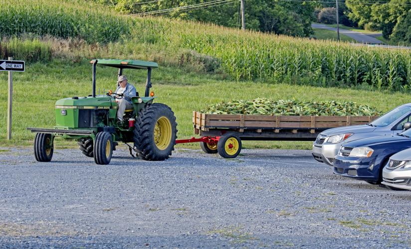 All ears at the Corn Wagon [photos] | Local News | lancasteronline.com