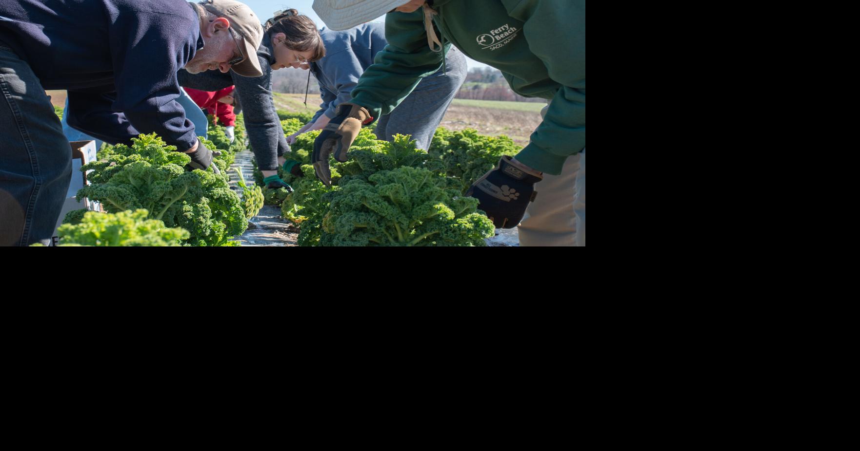 Lancaster Farmland Trust Farm to Pantry Project [photos ...