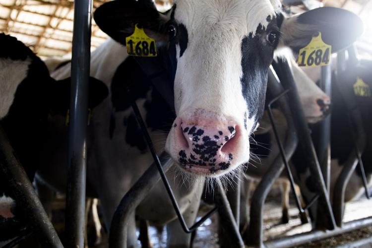 Take a look around the Lancaster County farm hosting the Pennsylvania ...