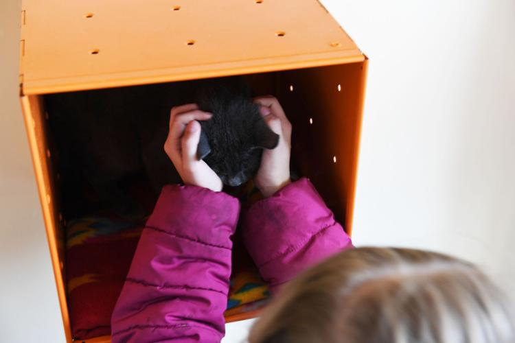Humane Pennsylvania showcases renovations at Lancaster campus [photos ...