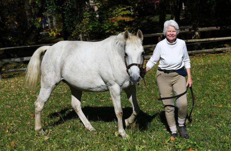 Letter writer spotlight: Meet Ginny Gibble [opinion] | Local Voices ...