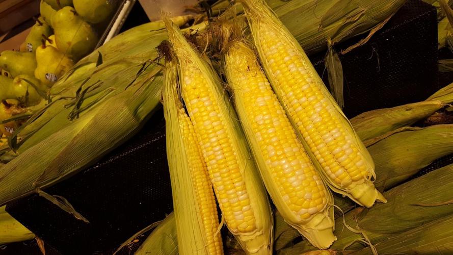 Get ready for sweet corn, corn maze season in Lancaster County [recipes ...