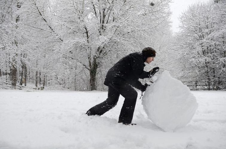 Clear a space in the freezer for your snowballs, they will get you ...