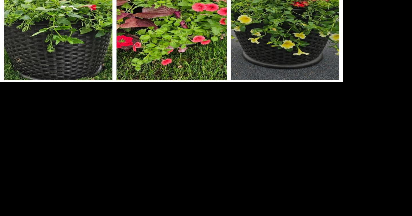These are the plants giving US Women's Open in Lancaster a glow-up ...