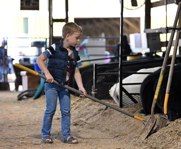71st Manheim Community Farm Show gets underway with annual parade ...