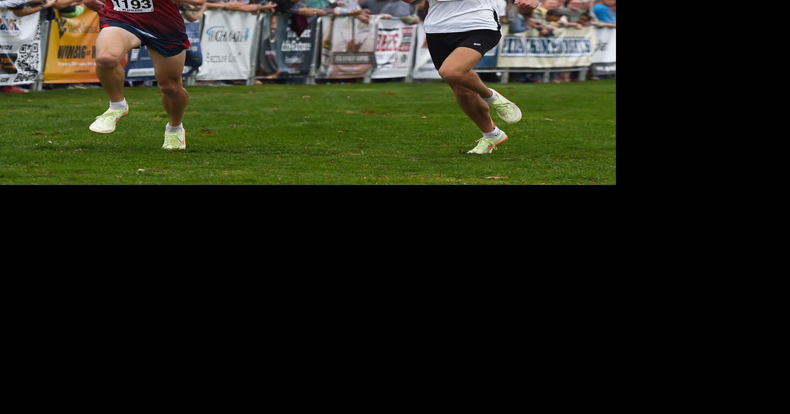 6 L-L League runners pick up medals at PIAA cross country championships ...