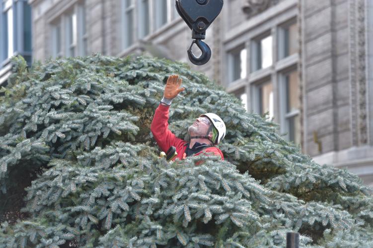 Lancaster city's Christmas tree goes up for 2024 [photos] | Local News ...