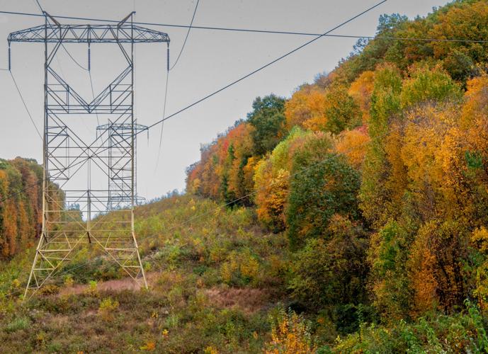 Fall foliage color crescendo in Lancaster County [photos] | Local News ...