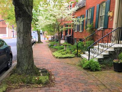 This week's good things: Bringing more trees to Lancaster city and year ...