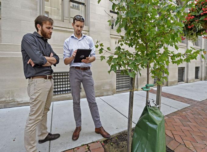 Lancaster city logs its 9,000 public trees — in searchable database ...
