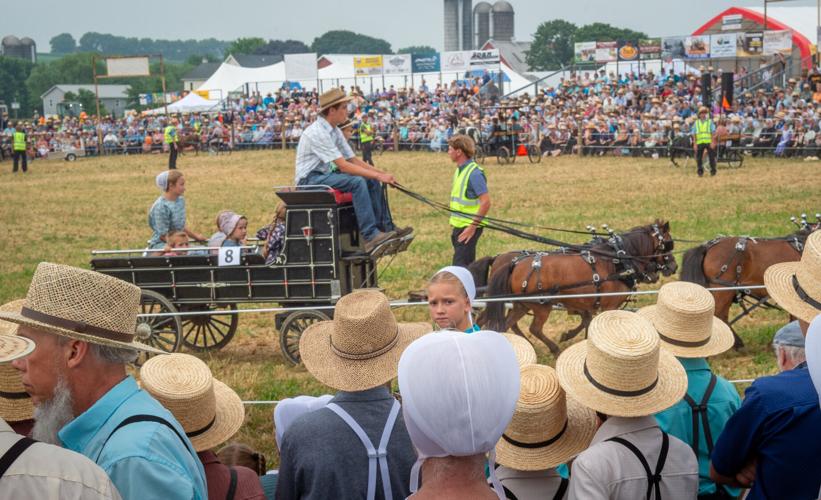 Horse Progress Days [photos] | | lancasteronline.com