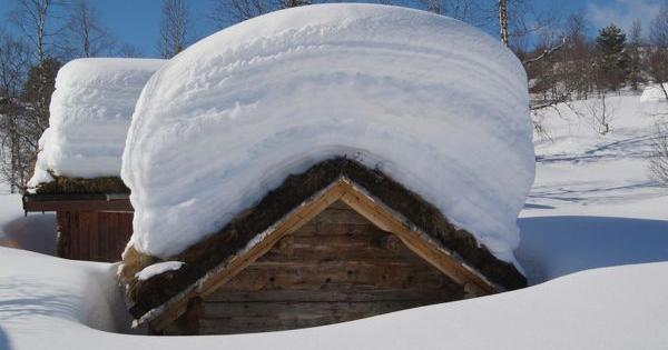 How It's Done: Feeling snowed under? Try these cures for cabin fever ...