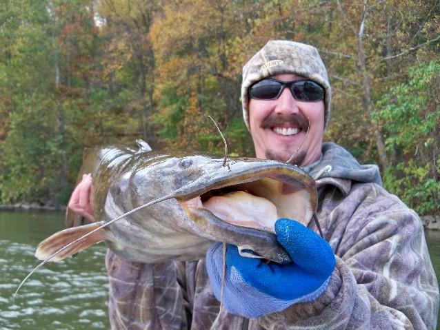 Angler group seeks protections for channel and flathead catfish in ...