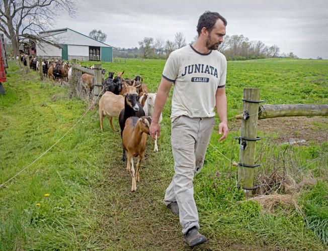 A tour of Linden Dale Farm [Photos] | | lancasteronline.com