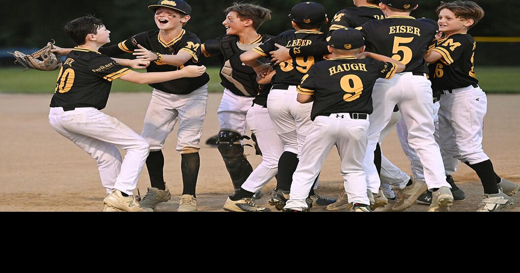 Mountville Cubs vs. Manheim VFW - LNP Tournament 10U finals [photos ...