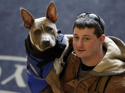 Foundation trains rescued pit bulls to become service dogs ...
