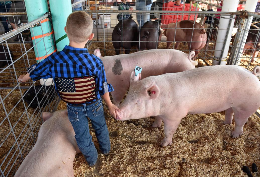 Lancaster County's 2021 fairs are back: Here's what to eat, what to see ...
