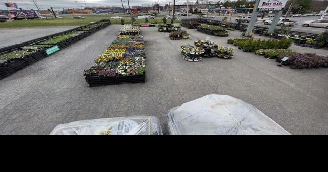 Second Chance Plants opens near F&M with discount plants, garden ...