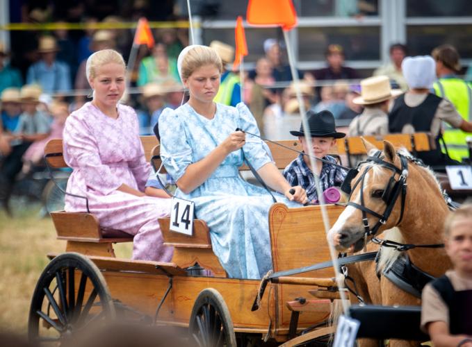Horse Progress Days [photos] | | lancasteronline.com