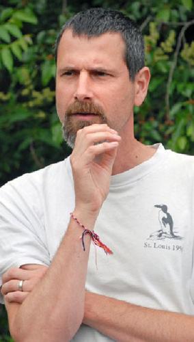 Lessons learned from lowly swallows | News | lancasteronline.com