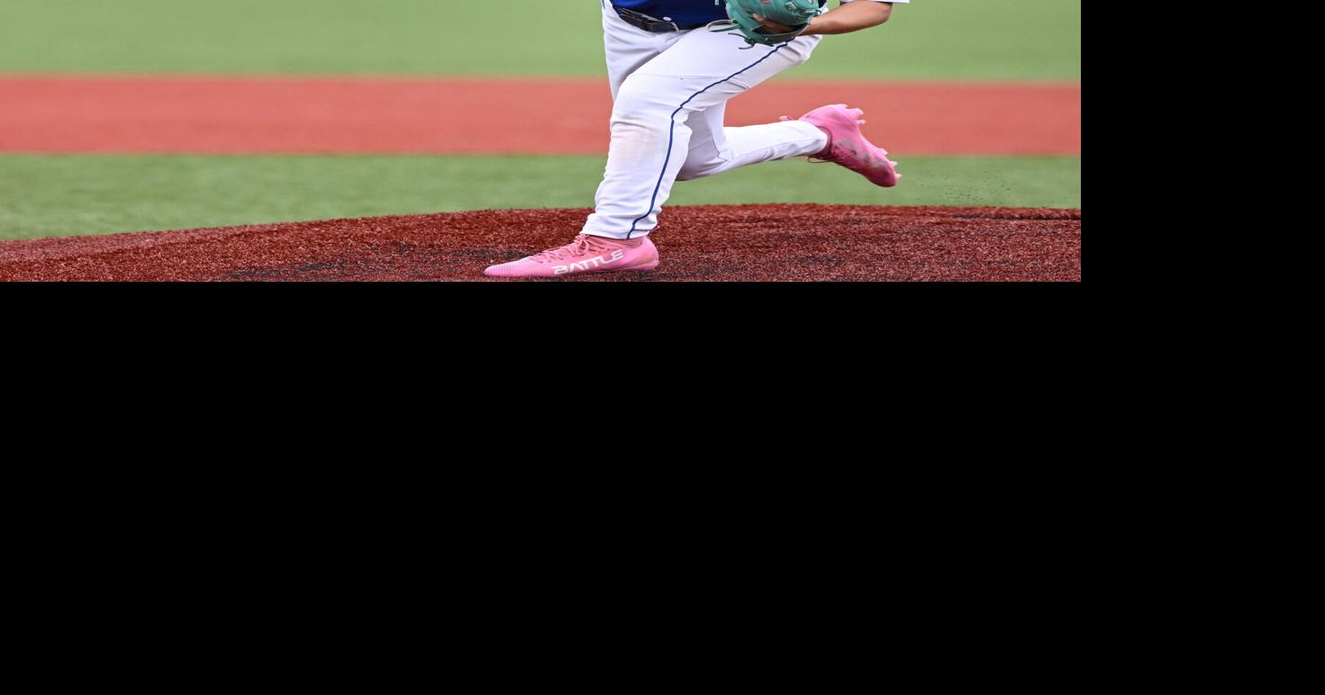 A near miss for Northern Lebanon, which falls in PIAA Class 4A baseball ...