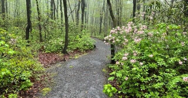 Lancaster area nature preserves getting special trails to attract those ...