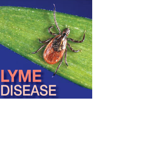 In Focus: A look at Lyme disease and those affected by the infectious ...