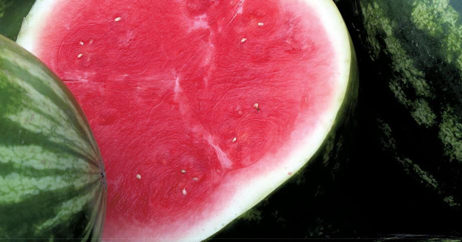 Visit Lancaster - Summer/Fall 2024 | Special Sections | lancasteronline.com