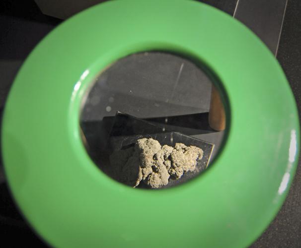 The straight poop on dinosaur digestion | Entertainment ...