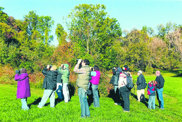 Lancaster County Bird Club celebrates 75 years | Sports ...
