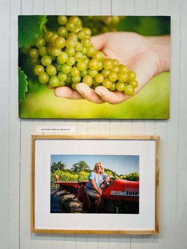Celebrating Edwin Remsberg's Agriculture and Rural Life Photography ...