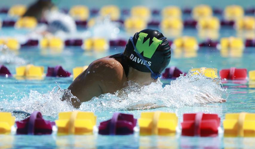 Lancaster Summer Swim League Championships [photos] | Lancaster ...