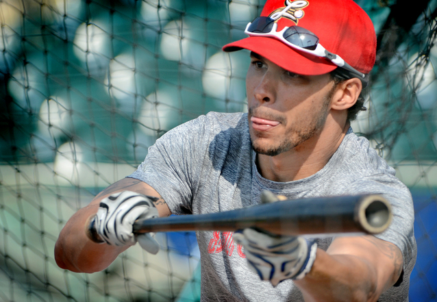 6 Barnstormers and manager Butch Hobson participating in Atlantic ...