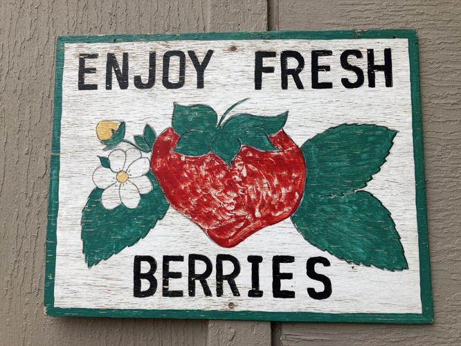 10 Lancaster County farms for pick-your-own strawberries | Food ...