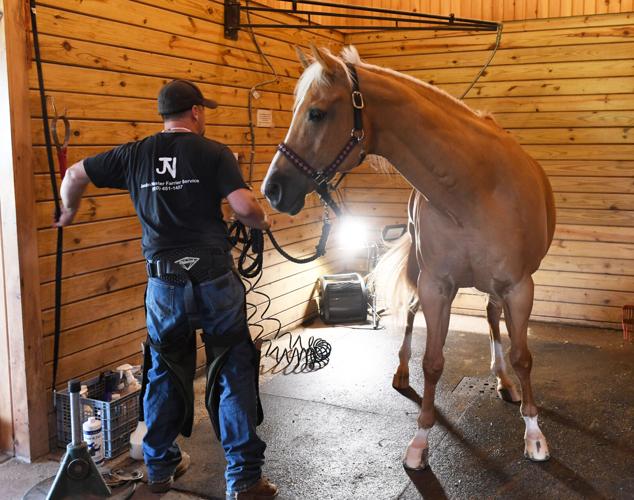 Retreat equine therapy horses Micky and Chance [photos ...