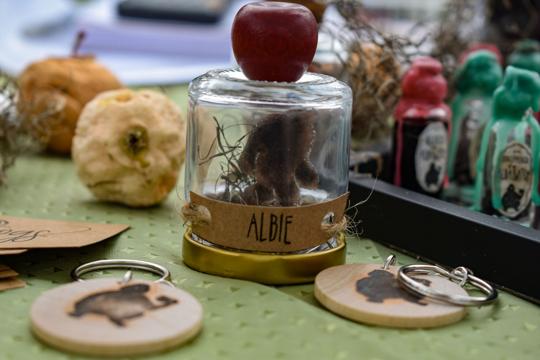 13 Albatwitch souvenirs to commemorate a Lancaster County legend ...
