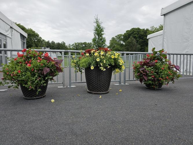 US Women's Open planters | | lancasteronline.com