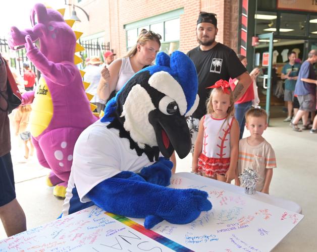 After training at camp, mascots show their stuff at Stormers game ...