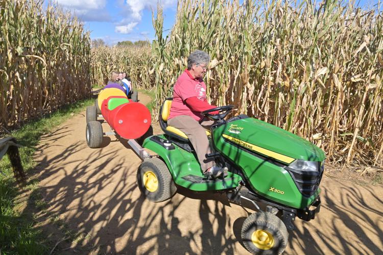 Oregon Dairy wraps up its fall season with corn maze, pumpkin chucker ...